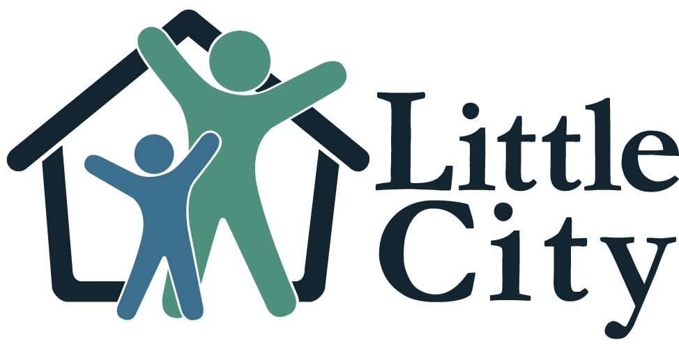 Developmental Disabilities EHR Software | IDD EHR | Case Management